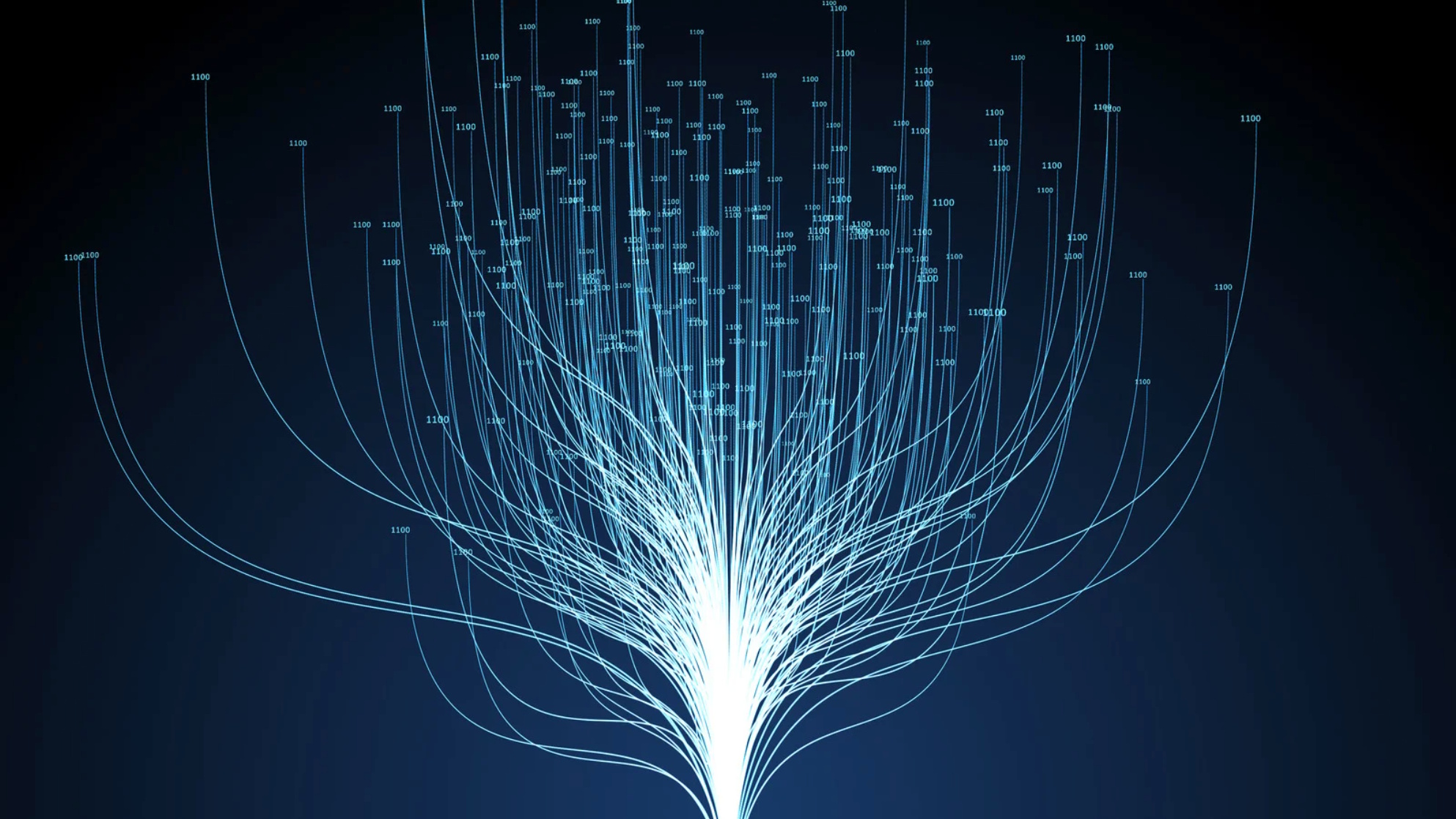 Phoenix Developments - Excellence, Resilience & Innovation